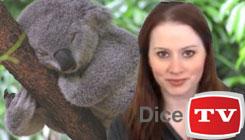 6 Interview Questions on JavaScript | Dice.com Career Advice