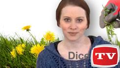 How to Prove Your Skills During an Interview | Dice.com Career Advice